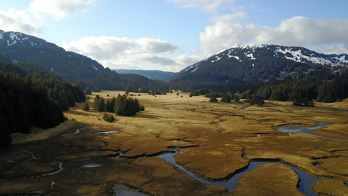 Social Mission - Koniag